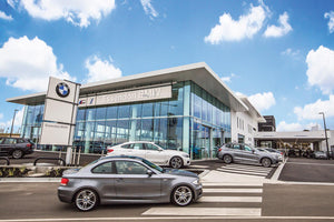 Rego Plate Lock Anti-Theft Security Screws by Altrex